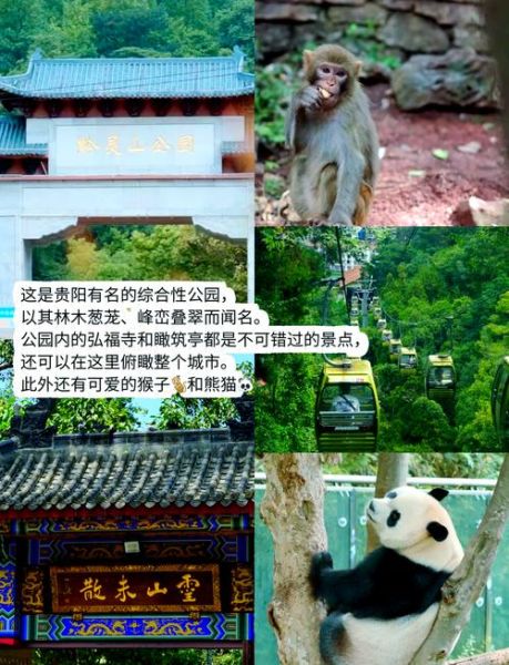 贵阳必去景点有哪些_贵阳旅游攻略必打卡-第3张图片-山城妙识