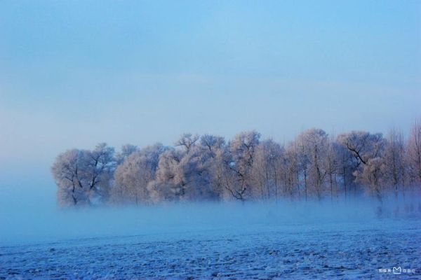 吉林市雾凇哪里看_雾凇岛和松花湖哪个好-第3张图片-山城妙识