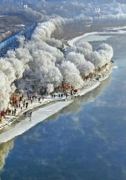 吉林市雾凇哪里看_雾凇岛和松花湖哪个好-第2张图片-山城妙识
