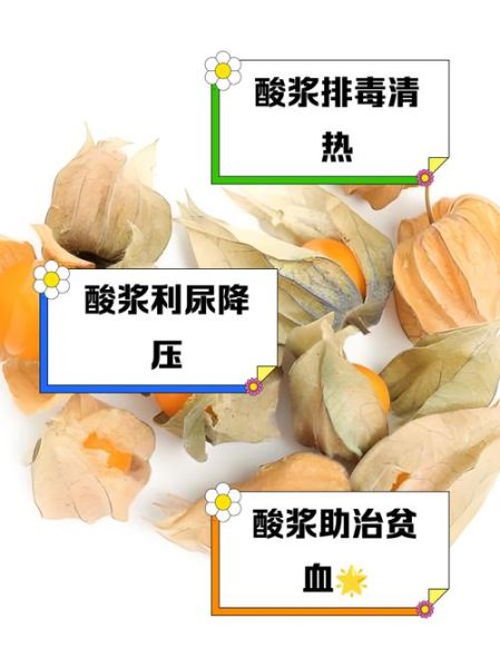 酸浆怎么做好吃_酸浆的做法大全-第1张图片-山城妙识 酸浆怎么做好吃_酸浆的做法大全-第1张图片-山城妙识