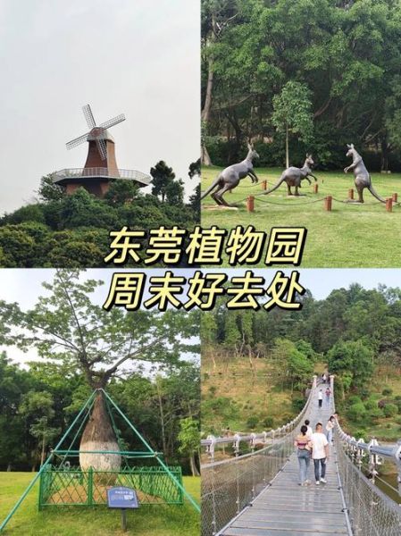 东莞植物园门票多少钱_东莞植物园有什么好玩的-第1张图片-山城妙识