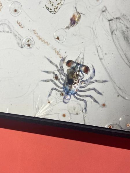 地理摄影大赛怎么报名_参赛技巧有哪些-第1张图片-山城妙识 地理摄影大赛怎么报名_参赛技巧有哪些-第1张图片-山城妙识