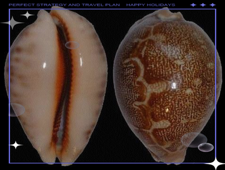 地理螺是什么_地理螺怎么养-第3张图片-山城妙识
