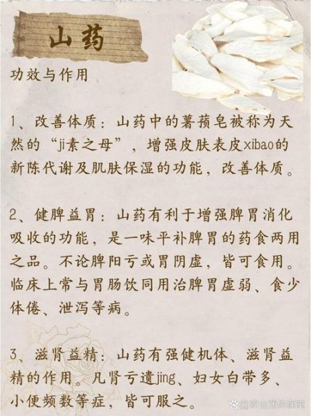 长山药汤怎么做_长山药汤的功效与禁忌-第3张图片-山城妙识