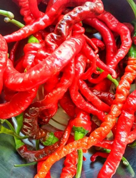 牛肉辣椒酱怎么做最正宗_正宗牛肉辣椒酱配方-第3张图片-山城妙识