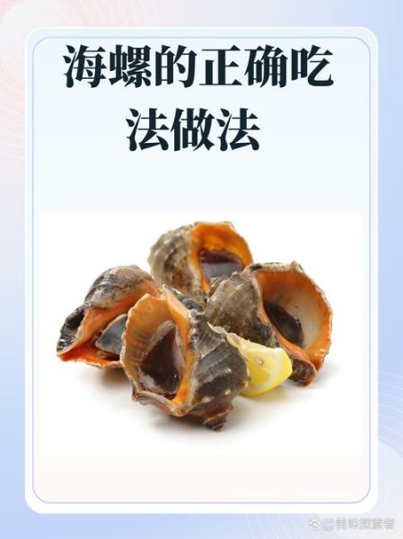 海螺怎么做好吃_海螺做法大全-第1张图片-山城妙识 海螺怎么做好吃_海螺做法大全-第1张图片-山城妙识