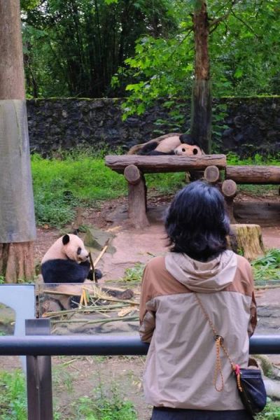 川内旅游景点推荐_哪些小众又好玩-第2张图片-山城妙识