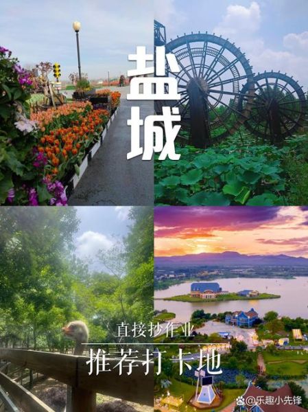 盐城旅游景点推荐_盐城有哪些好玩的景点-第1张图片-山城妙识