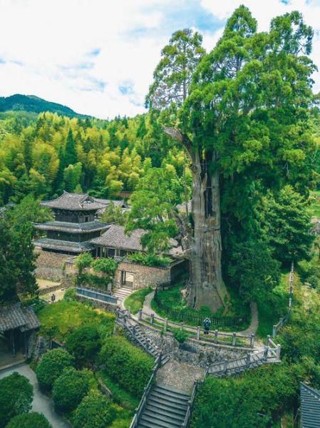 丽水景点有哪些_丽水旅游攻略必去景点-第1张图片-山城妙识