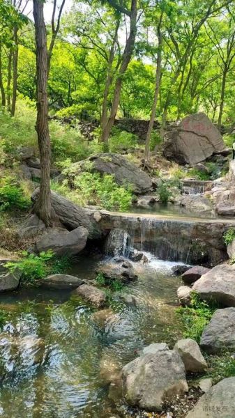 诸城有什么好玩的景点_诸城一日游必去景点推荐-第2张图片-山城妙识 诸城有什么好玩的景点_诸城一日游必去景点推荐-第2张图片-山城妙识