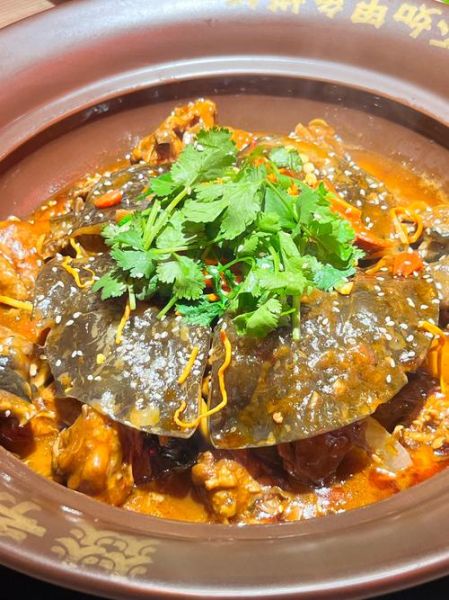 甲鱼怎么炖好吃又营养_家常甲鱼汤做法-第1张图片-山城妙识