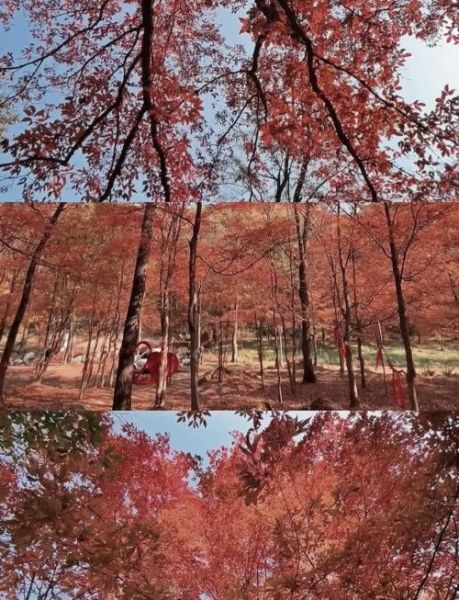 吉林蛟河旅游景点有哪些_蛟河红叶谷几月去最好-第3张图片-山城妙识