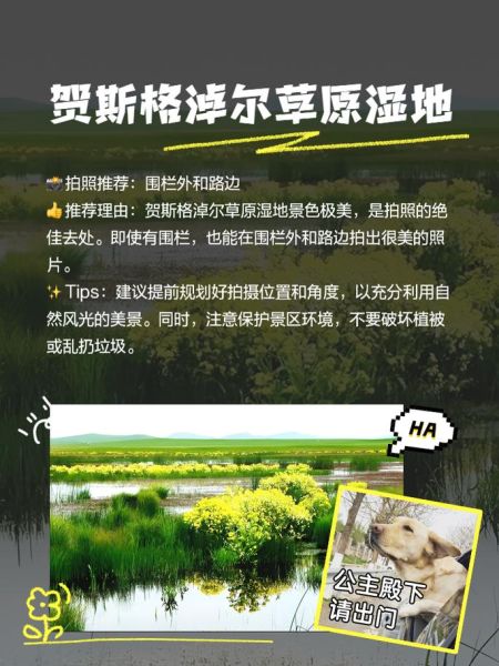 东乌旗有什么好玩的_东乌旗旅游攻略必去景点-第2张图片-山城妙识
