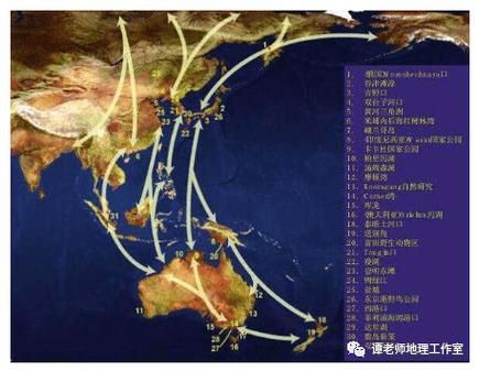 鸟地理分布_鸟类迁徙路线怎么查-第3张图片-山城妙识