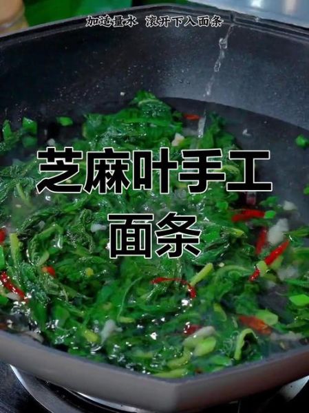 新鲜芝麻叶面条怎么做_芝麻叶面条的家常做法-第3张图片-山城妙识