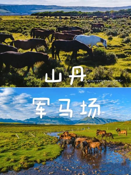 山丹县旅游景点有哪些_山丹军马场值得去吗-第3张图片-山城妙识
