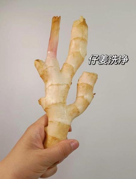 腌生姜的正确做法_生姜怎么腌才脆爽-第2张图片-山城妙识 腌生姜的正确做法_生姜怎么腌才脆爽-第2张图片-山城妙识