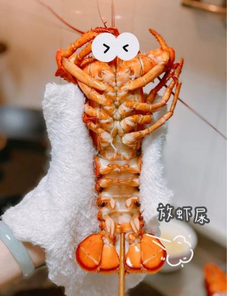 芝士焗龙虾怎么做_芝士焗龙虾需要蒸多久-第1张图片-山城妙识 芝士焗龙虾怎么做_芝士焗龙虾需要蒸多久-第1张图片-山城妙识