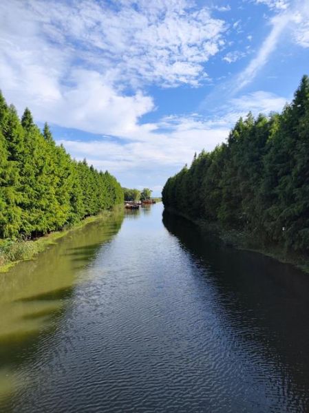 盐城旅游景点排名前十_盐城最值得去的地方有哪些-第2张图片-山城妙识