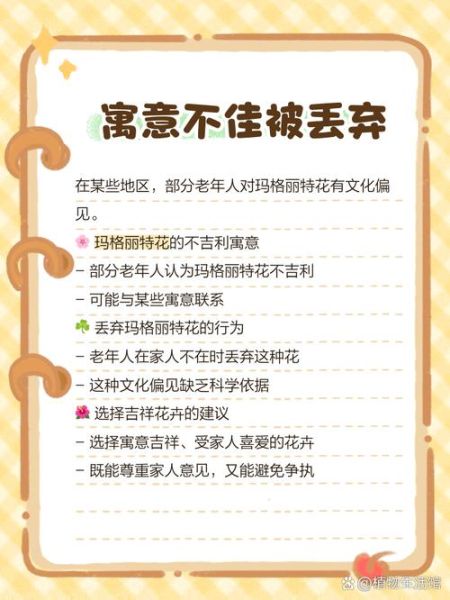 玛格丽特怎么养_玛格丽特花苞为什么打不开-第1张图片-山城妙识 玛格丽特怎么养_玛格丽特花苞为什么打不开-第1张图片-山城妙识