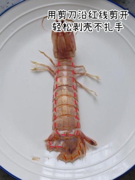 清蒸皮皮虾的做法_蒸多久才最鲜嫩-第1张图片-山城妙识