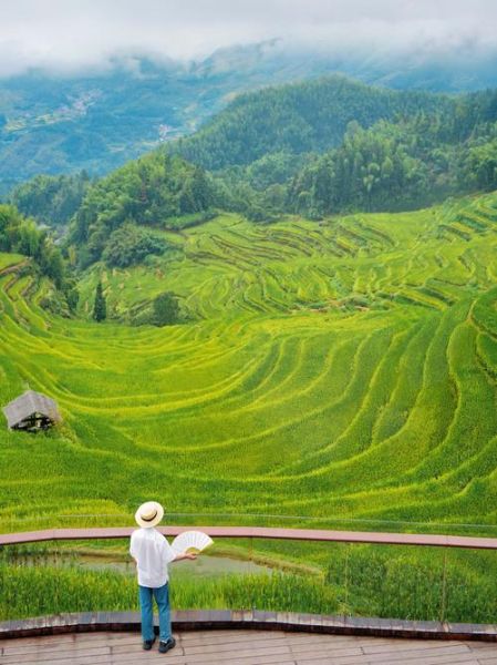 中国最美梯田在哪里_如何规划摄影路线-第3张图片-山城妙识 中国最美梯田在哪里_如何规划摄影路线-第3张图片-山城妙识