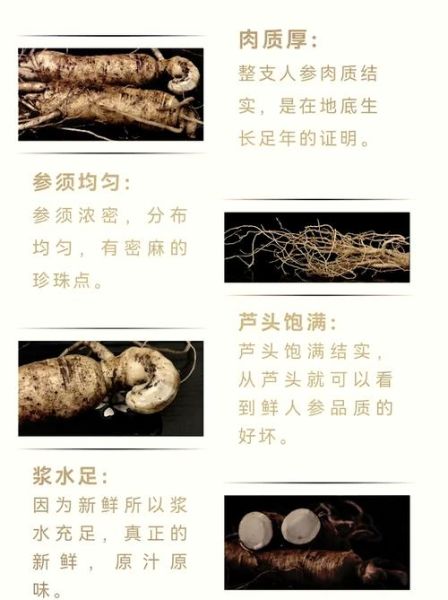 新鲜人参怎么吃_鲜人参做法大全-第2张图片-山城妙识 新鲜人参怎么吃_鲜人参做法大全-第2张图片-山城妙识