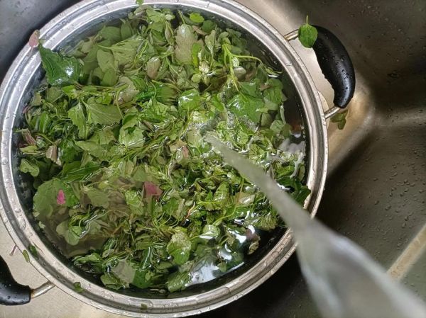 干灰菜怎么做好吃_干灰菜的家常做法大全-第1张图片-山城妙识