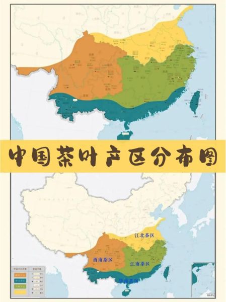 茶源地理在哪里_中国茶区如何划分-第1张图片-山城妙识