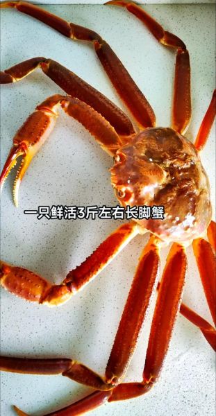 长脚蟹怎么蒸好吃_长脚蟹清蒸步骤-第1张图片-山城妙识