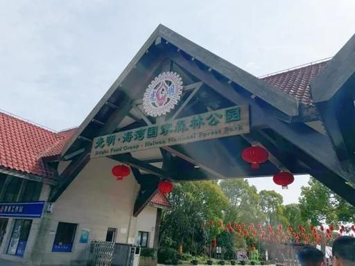 奉贤一日游去哪里好玩_奉贤海湾旅游区门票多少钱-第2张图片-山城妙识