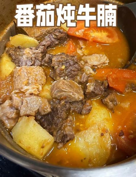 番茄炖牛腩怎么做好吃_番茄炖牛腩的家常做法-第2张图片-山城妙识