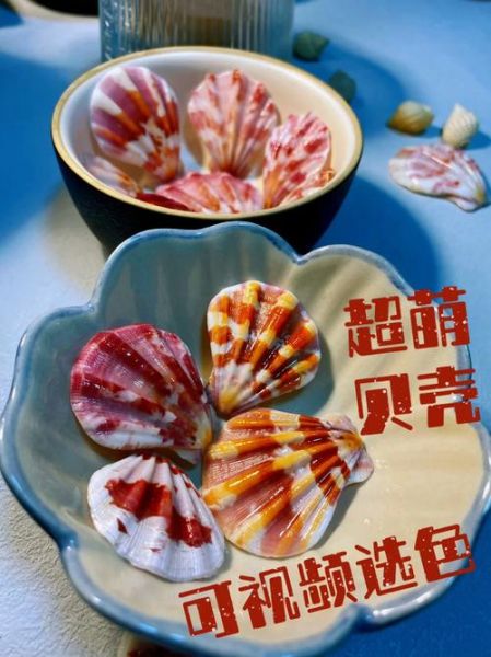 大贝壳怎么清洗_大贝壳的家常做法-第2张图片-山城妙识 大贝壳怎么清洗_大贝壳的家常做法-第2张图片-山城妙识