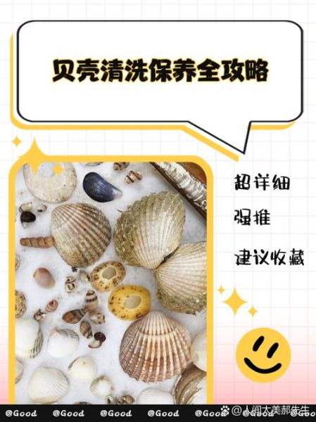 大贝壳怎么清洗_大贝壳的家常做法-第1张图片-山城妙识 大贝壳怎么清洗_大贝壳的家常做法-第1张图片-山城妙识