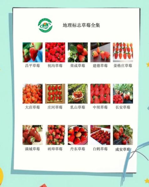 农产品地理标志怎么查询_地理标志农产品有哪些-第1张图片-山城妙识