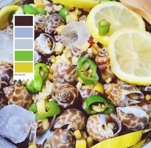 冰镇花螺怎么做_冰镇花螺要焯水吗-第1张图片-山城妙识 冰镇花螺怎么做_冰镇花螺要焯水吗-第1张图片-山城妙识