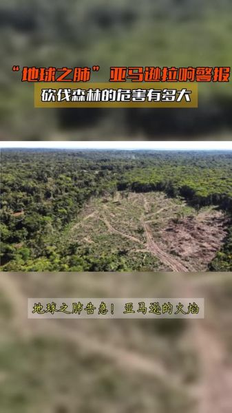 亚马逊雨林为什么被称为地球之肺_亚马逊雨林对全球气候的影响-第1张图片-山城妙识 亚马逊雨林为什么被称为地球之肺_亚马逊雨林对全球气候的影响-第1张图片-山城妙识