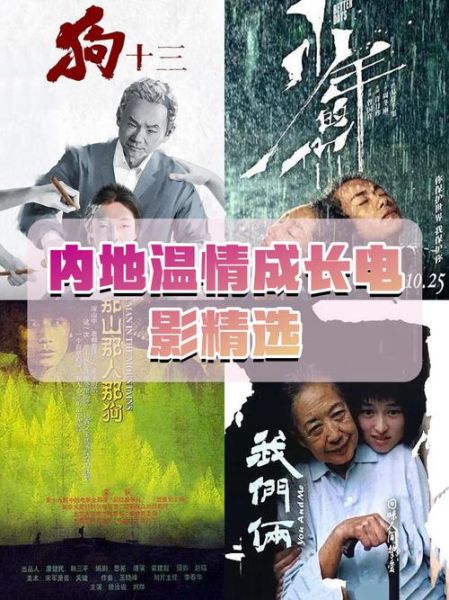 内地理论片有哪些_内地理论片怎么找-第2张图片-山城妙识