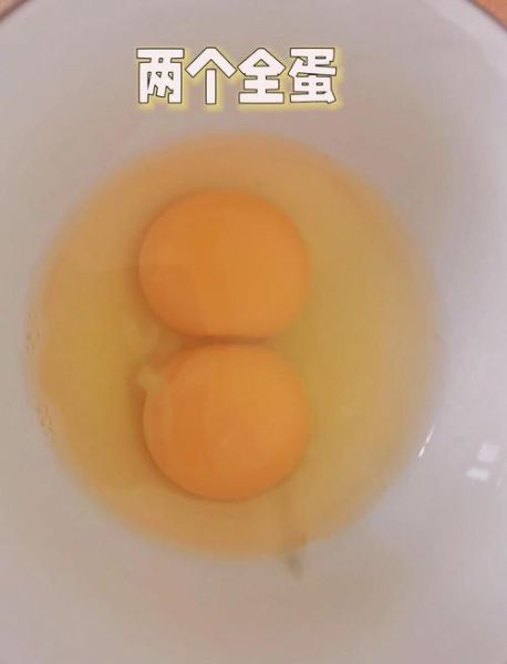 蛋挞怎么做_蛋挞液配方比例-第3张图片-山城妙识 蛋挞怎么做_蛋挞液配方比例-第3张图片-山城妙识