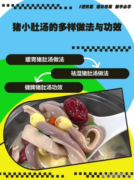 猪肚汤怎么煲才白_猪肚汤放什么配料去腥-第1张图片-山城妙识 猪肚汤怎么煲才白_猪肚汤放什么配料去腥-第1张图片-山城妙识