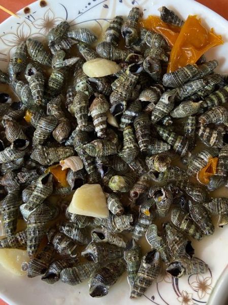 温州酸菜钉螺煲怎么做_钉螺煲需要焯水吗-第3张图片-山城妙识 温州酸菜钉螺煲怎么做_钉螺煲需要焯水吗-第3张图片-山城妙识