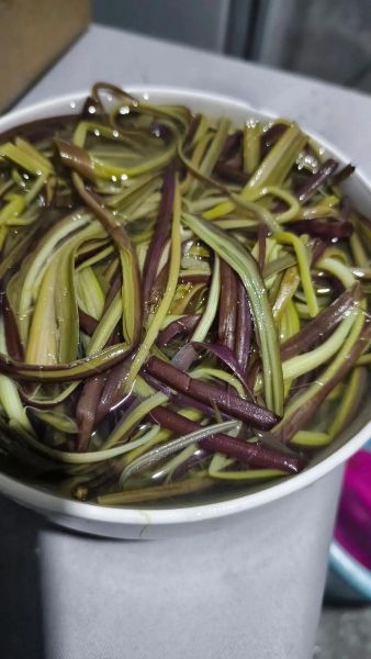 蕨菜怎么焯水去涩_蕨菜炒肉家常做法-第2张图片-山城妙识 蕨菜怎么焯水去涩_蕨菜炒肉家常做法-第2张图片-山城妙识