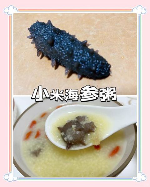 海参粥怎么做_海参粥的家常做法-第1张图片-山城妙识 海参粥怎么做_海参粥的家常做法-第1张图片-山城妙识