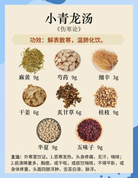 小青龙汤怎么熬_小青龙汤配方比例-第1张图片-山城妙识 小青龙汤怎么熬_小青龙汤配方比例-第1张图片-山城妙识