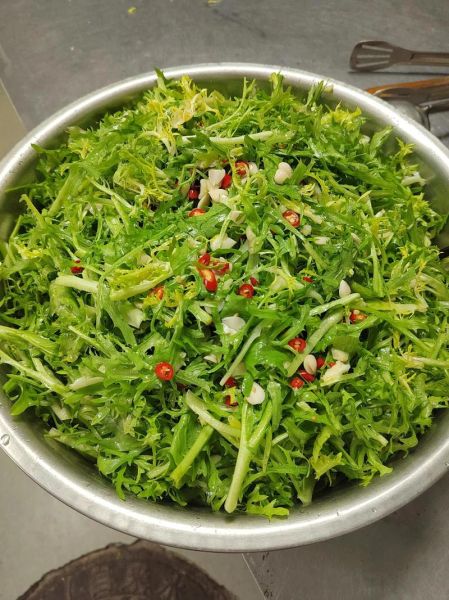 凉拌苦菊怎么做_苦菊凉拌要不要焯水-第1张图片-山城妙识