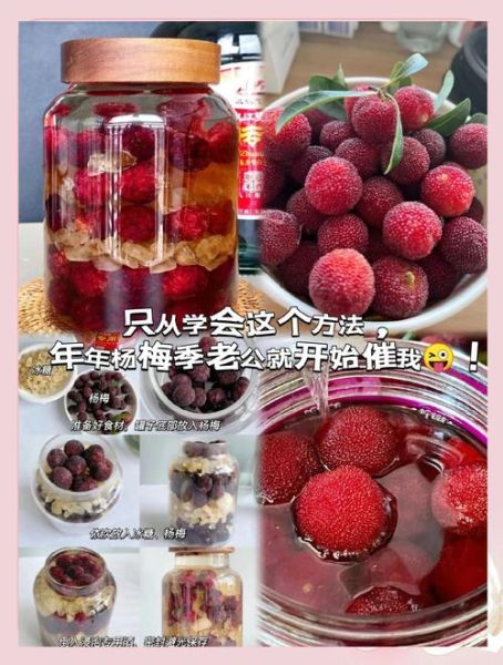 杨梅酒怎么做_自制杨梅酒比例是多少-第1张图片-山城妙识 杨梅酒怎么做_自制杨梅酒比例是多少-第1张图片-山城妙识