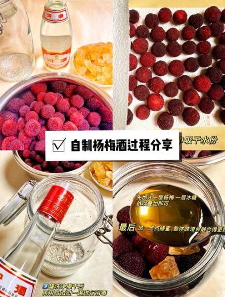 杨梅酒怎么做_自制杨梅酒比例是多少-第3张图片-山城妙识 杨梅酒怎么做_自制杨梅酒比例是多少-第3张图片-山城妙识