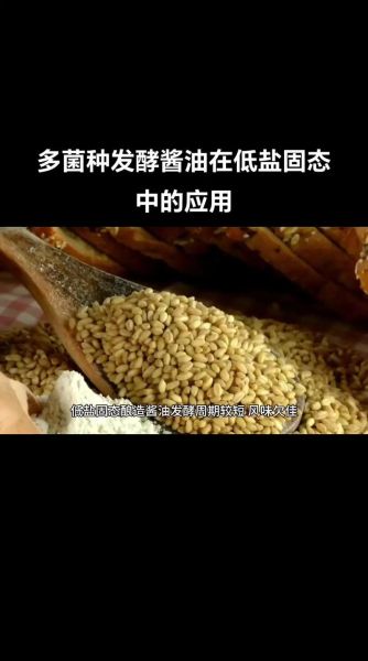 土法自制酱油怎么做_家庭酱油发酵配方-第3张图片-山城妙识 土法自制酱油怎么做_家庭酱油发酵配方-第3张图片-山城妙识