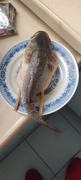 鲈鱼清蒸几分钟最佳_鲈鱼清蒸要不要去鳞-第3张图片-山城妙识 鲈鱼清蒸几分钟最佳_鲈鱼清蒸要不要去鳞-第3张图片-山城妙识