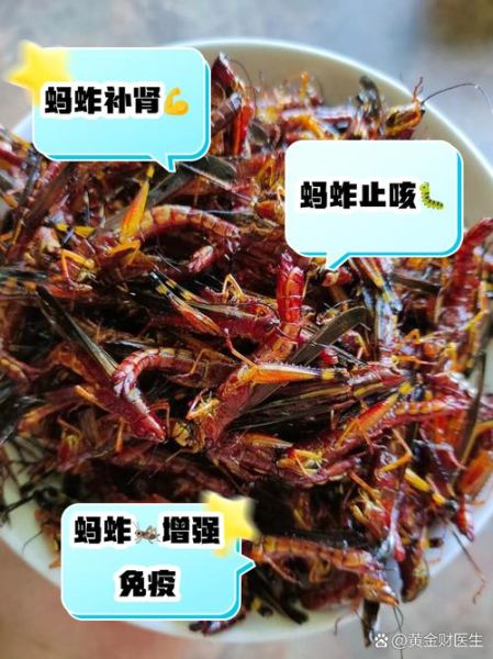 油炸蚂蚱怎么做_油炸蚂蚱要焯水吗-第2张图片-山城妙识 油炸蚂蚱怎么做_油炸蚂蚱要焯水吗-第2张图片-山城妙识